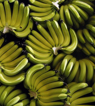 ‘Operación’ banano • Forbes México