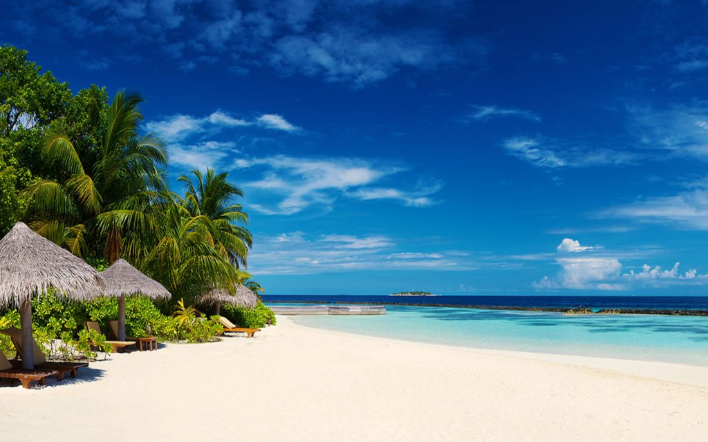 5 lecturas para llevarte a la playa en agosto | Forbes México