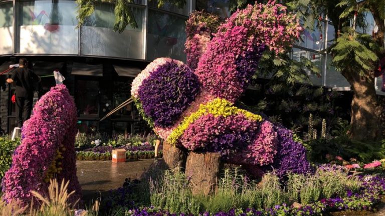 Último día de Polanco en Flores: 5 puntos que debes incluir en tu recorrido
