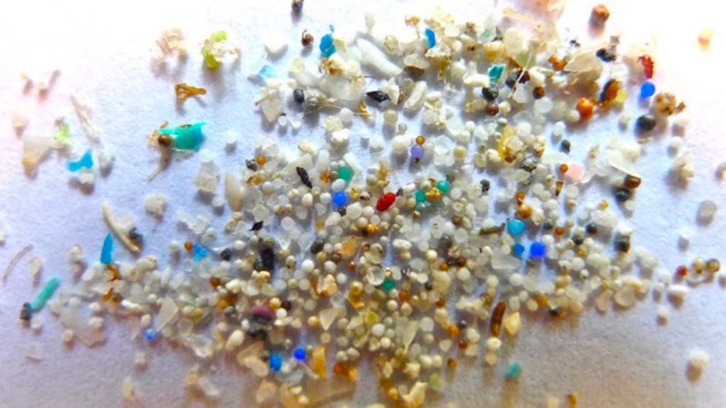 La Fosa de las Marianas: un saco de microplásticos a 6,800 metros de ...