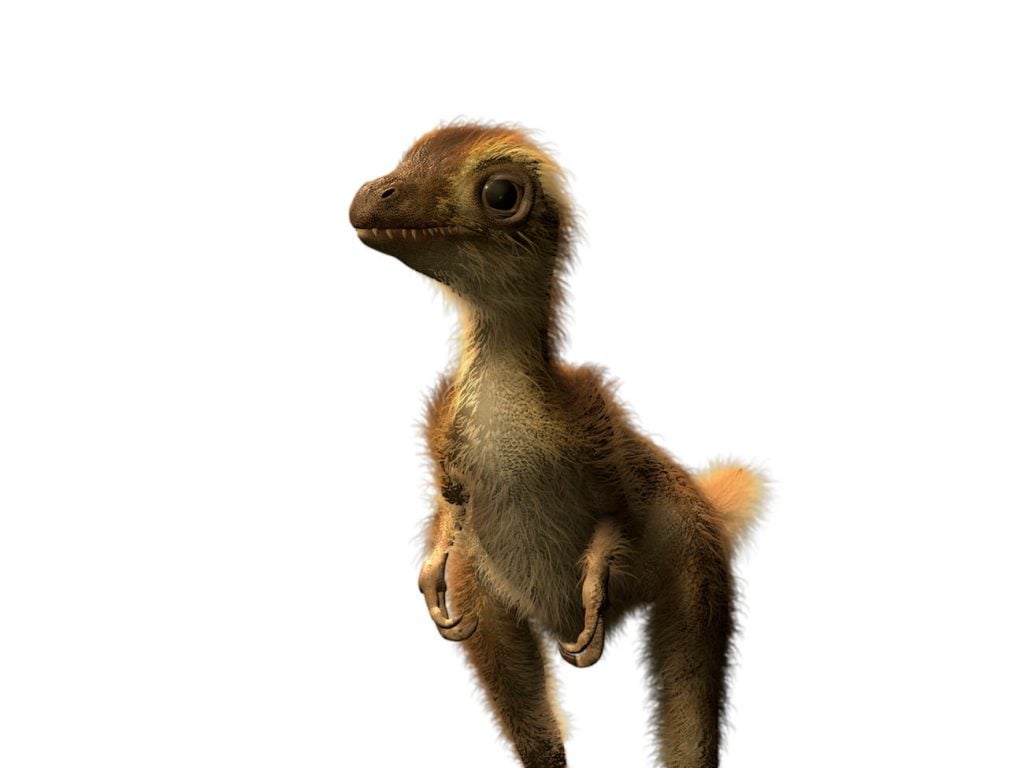 Fotogalería | Así era el T-Rex recién nacido; aquí su evolución ...