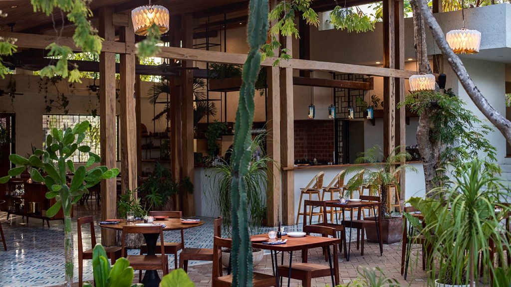 Verdánt: saber y sabor atemporal desde el corazón maya