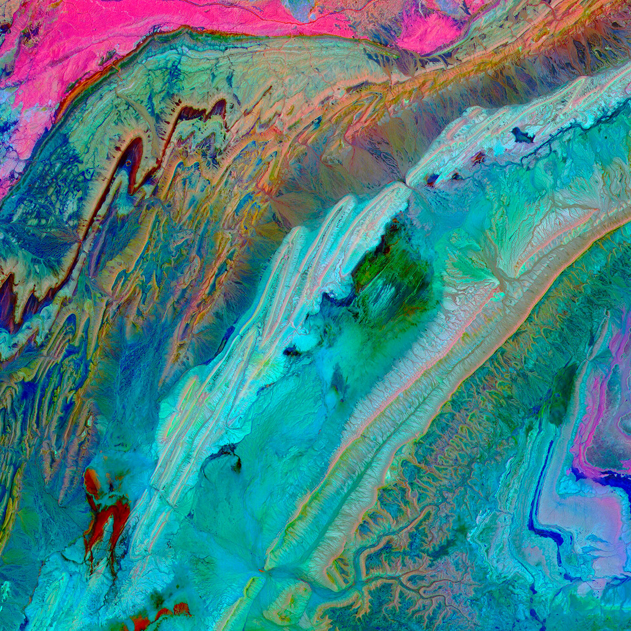 Fotogalería: La piel del planeta Tierra • Actualidad Forbes México