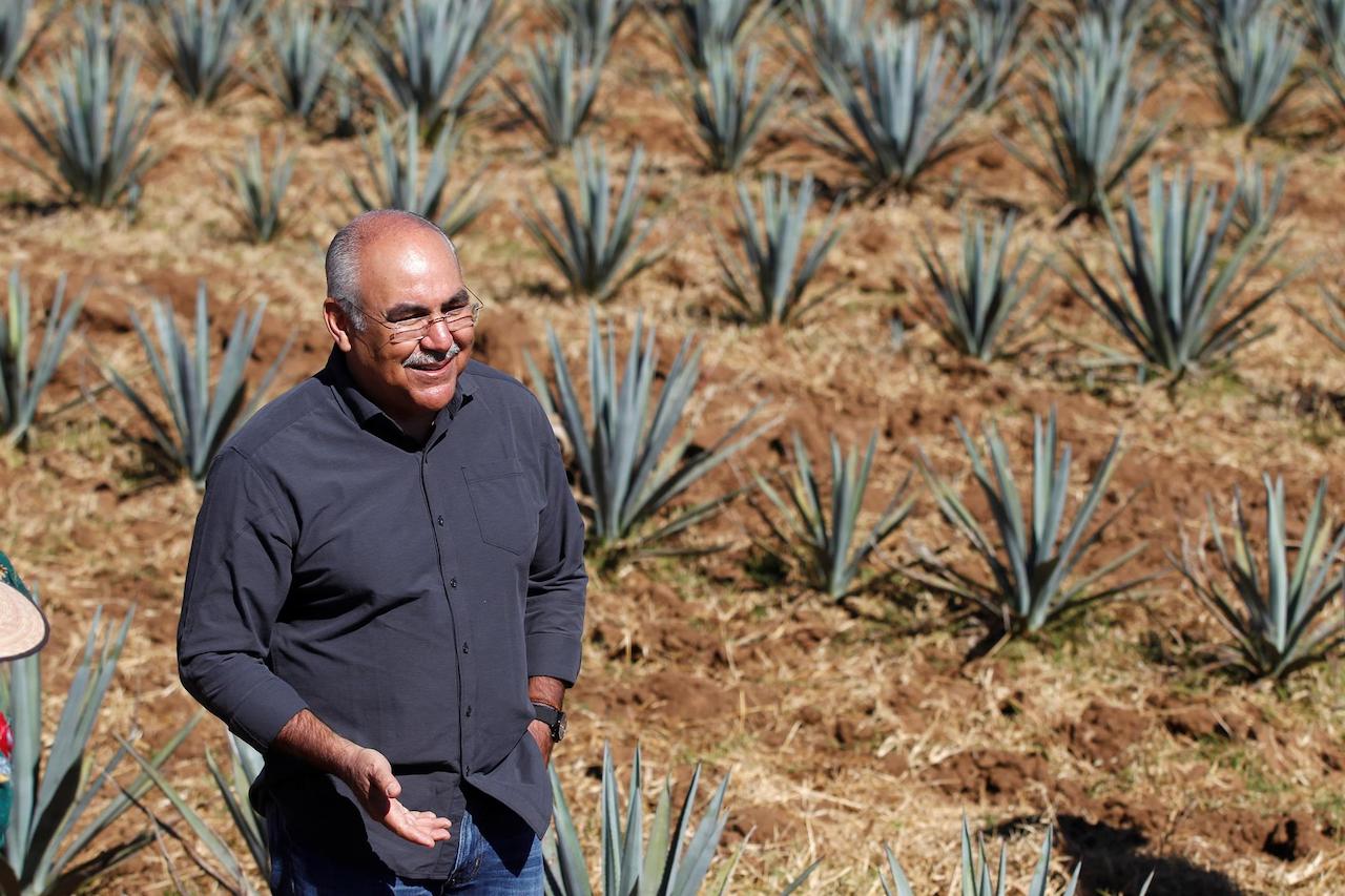 Nueva bebida reúne lo mejor del mezcal y el tequila con procesos ...