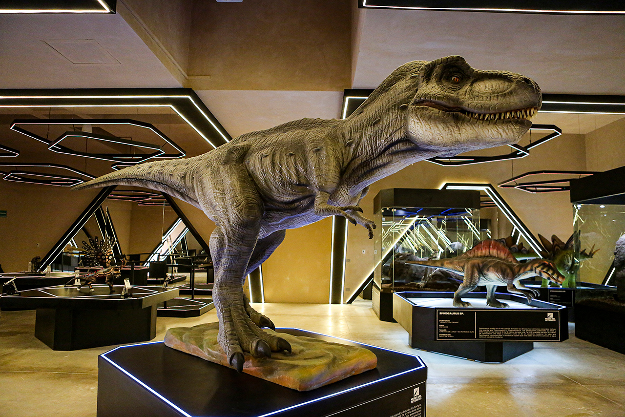 Museo del Meteorito, una mirada al rol del sur de México en la prehistoria