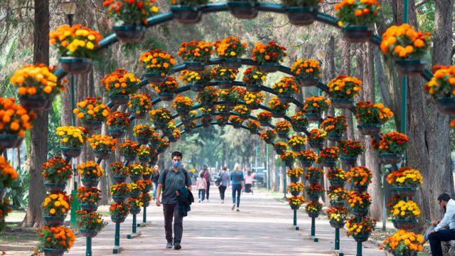 El Festival de Flores y Jardines (FYJA) regresa a Polanco