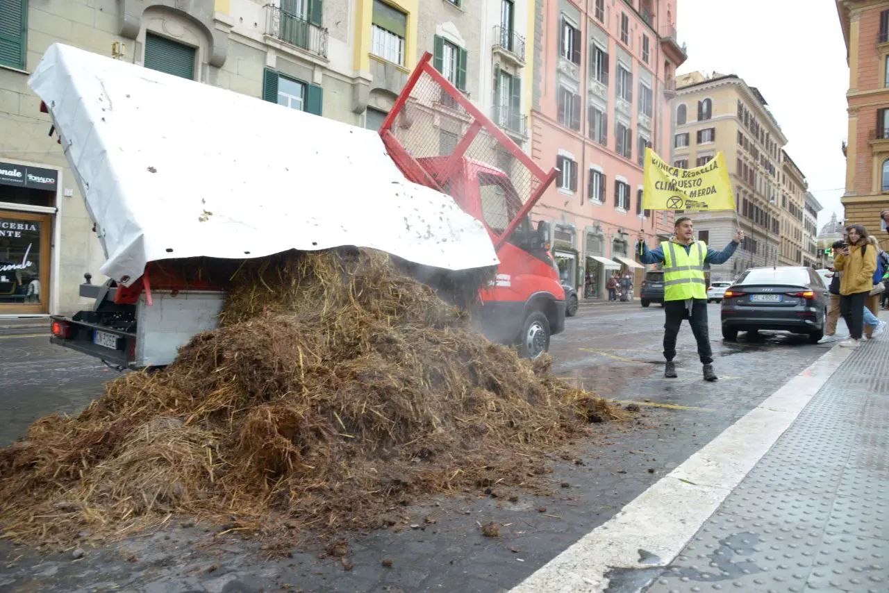 Ecologistas vierten 5,000 kilos de estiércol frente al Ministerio del ...
