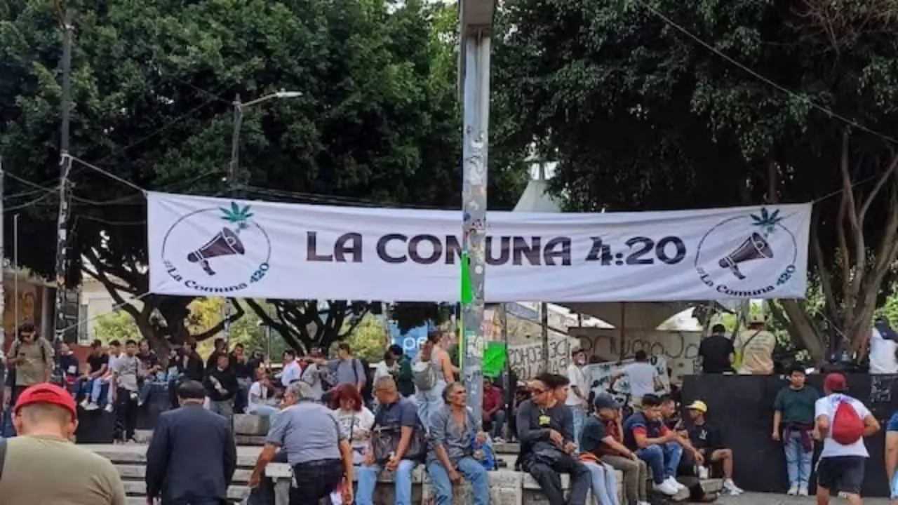Gobierno de la CDMX reubica puntos para el consumo lúdico de marihuana ...