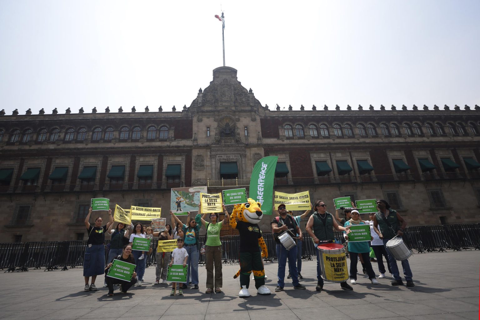 Greenpeace lanza ruta del jaguar para alertar de la destrucción de la ...